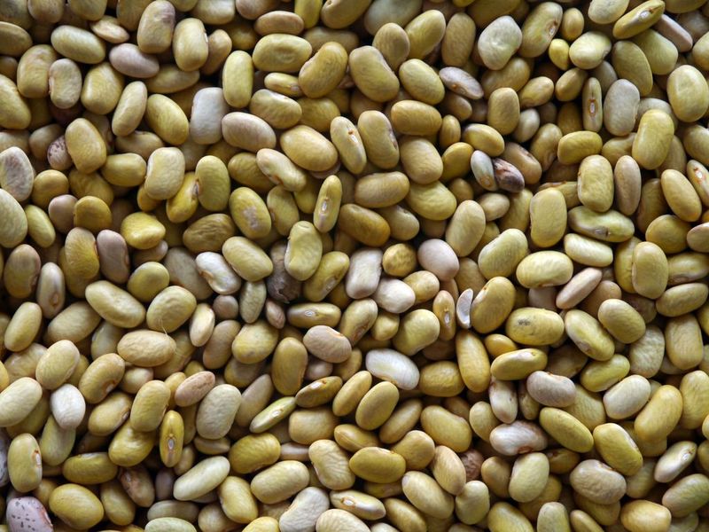 Productos: frijoles
